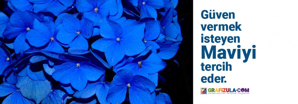2020 Yılının Pantone Rengi Klasik Mavi | Grafizula.com