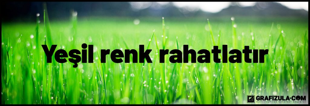 Grafik Tasarımda Yeşil Renk ve Anlamı | Grafizula.com